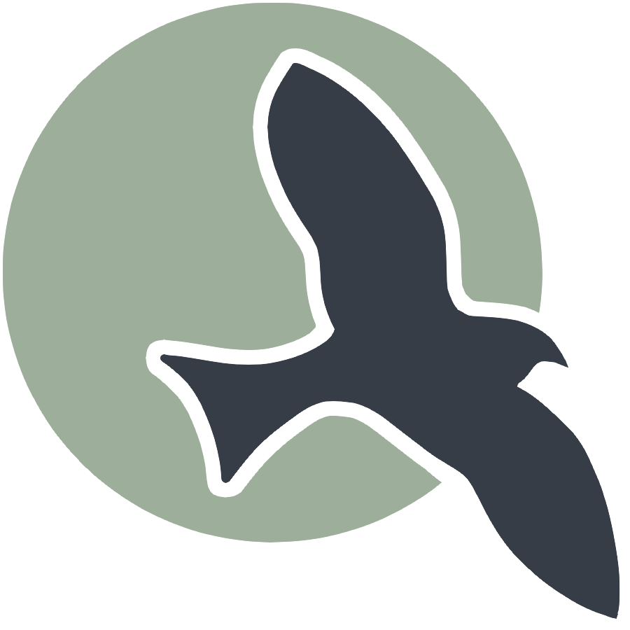 TMV4 | TMV4’s SASS Lesson